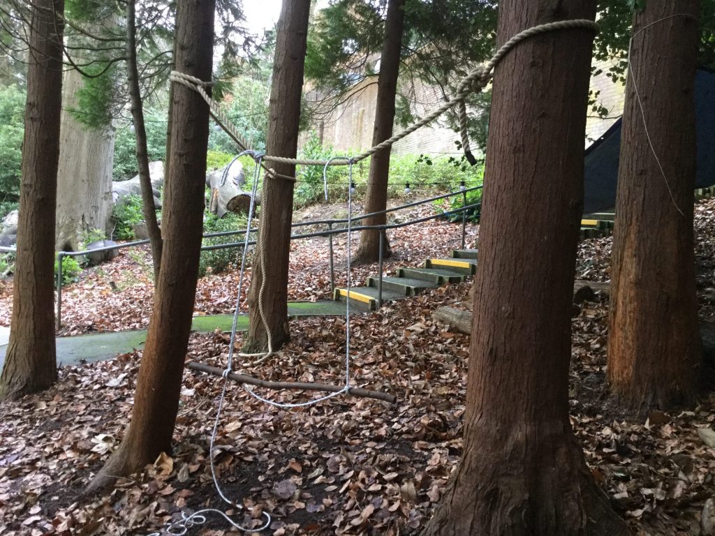 Forest School Swing | The Granville School