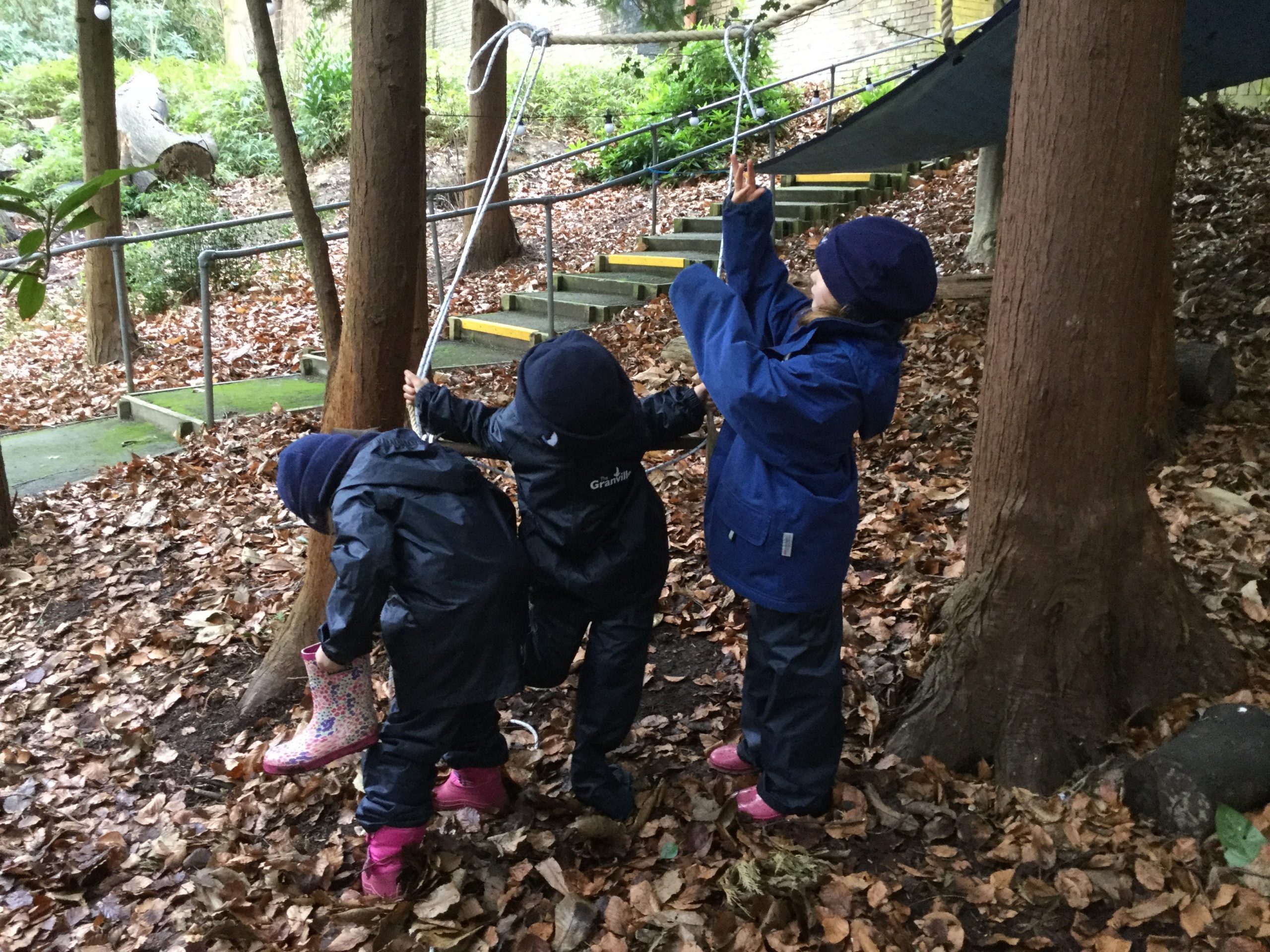 Forest School Swing | The Granville School