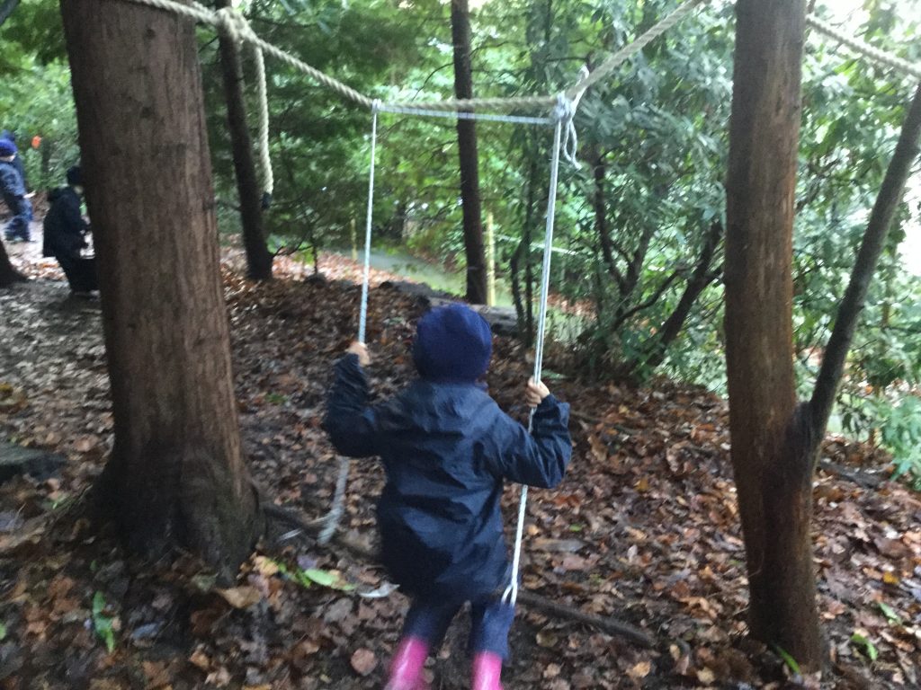 Forest School Swing | The Granville School
