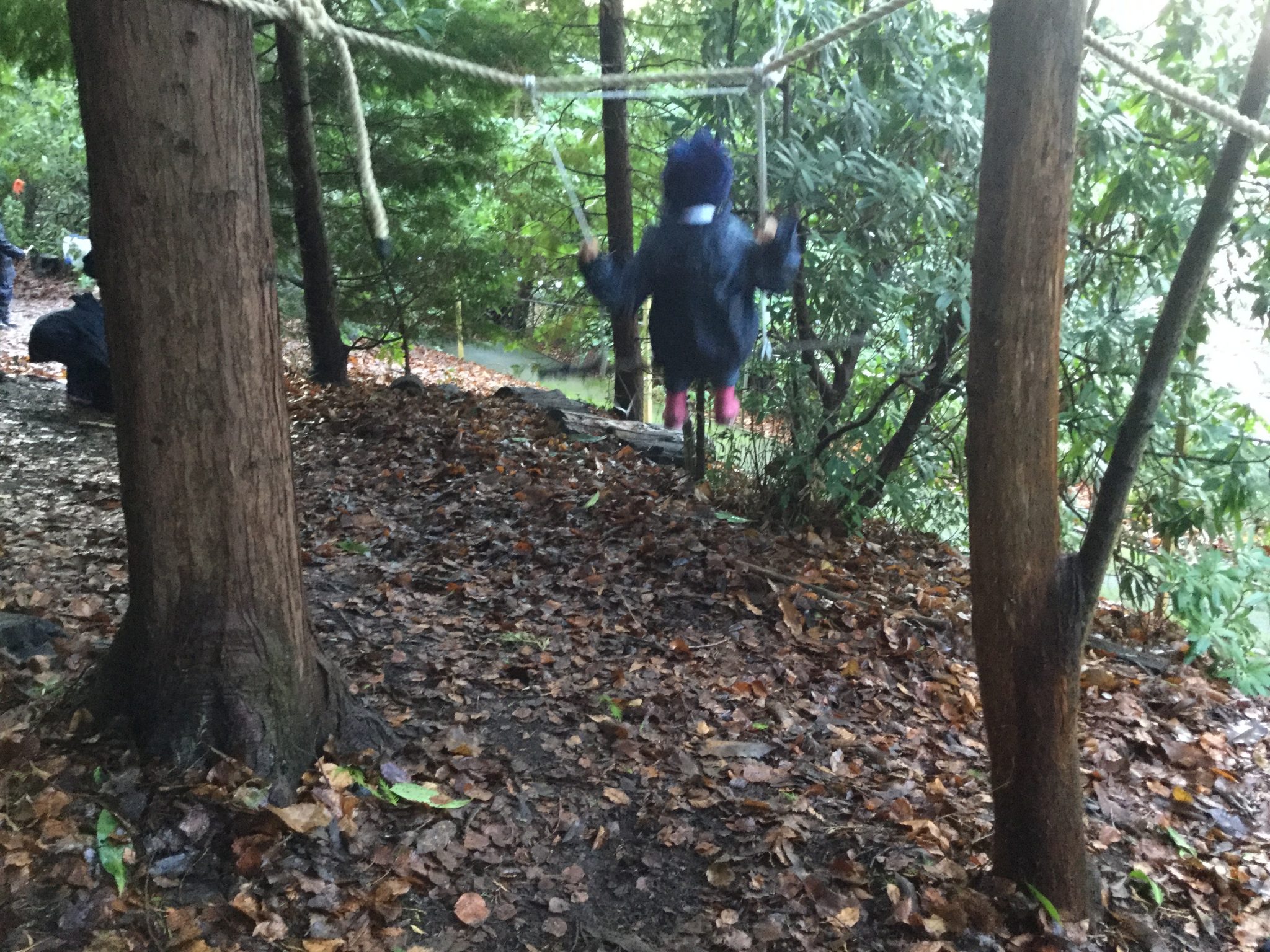 Forest School Swing | The Granville School